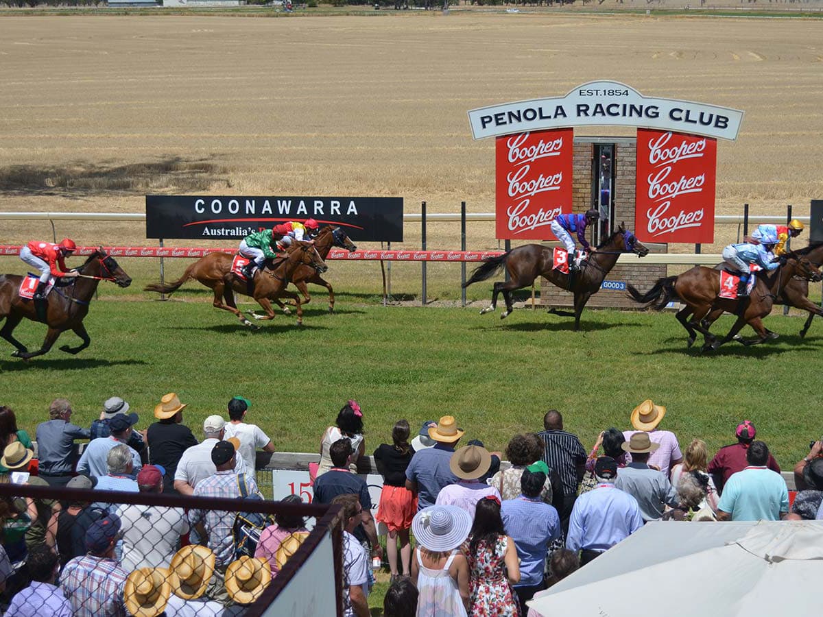 How We Fell in Love with Coonawarra