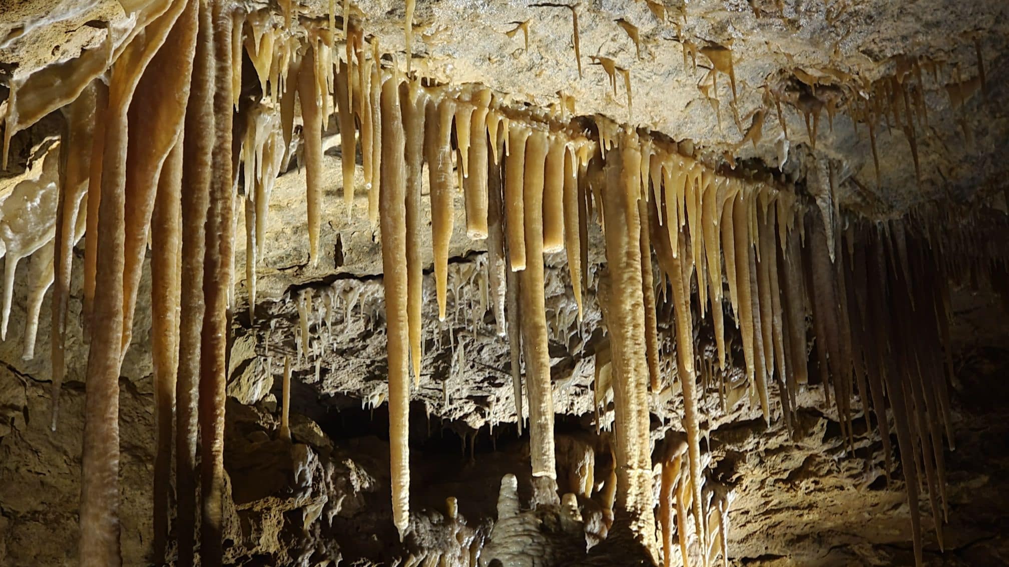 Discover Hidden Treasures in our Limestone Coast’s Caves